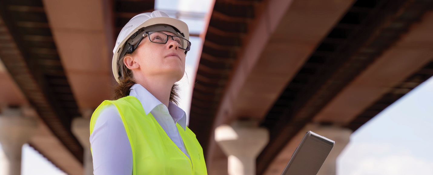 Bridge and Other Significant Highway Structures Inspection | NZIHT
