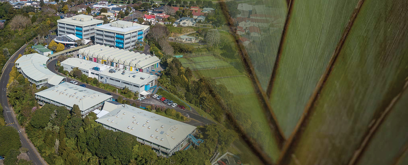 WITT becomes part of Te Pūkenga